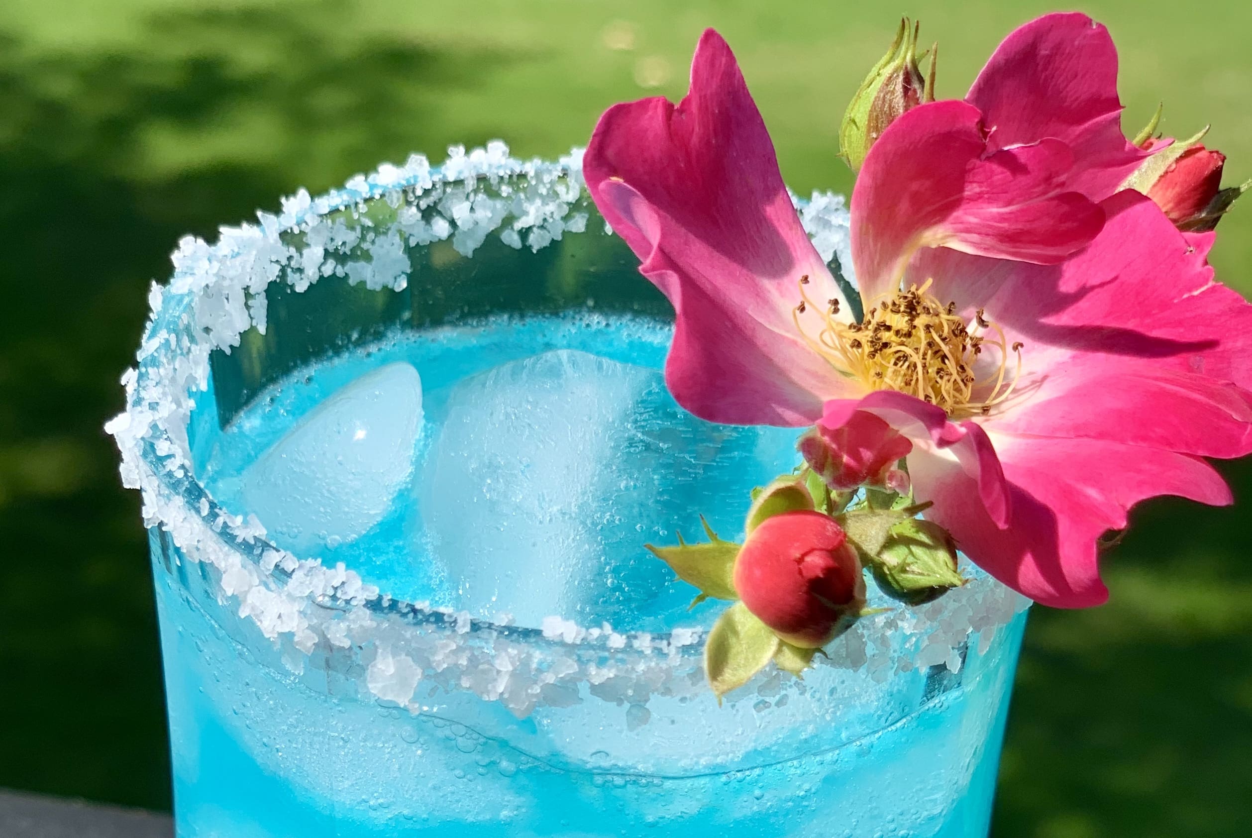 Turquoise Margarita - Cook Savor Celebrate